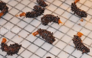 Halloween Treat - Cocoa Puffy Spider Bites - Oh My! Sugar High